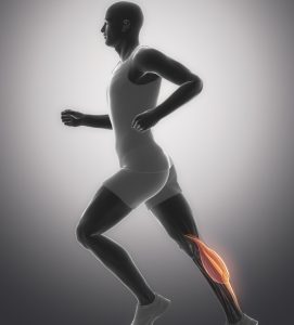 Dynamic Stretches for Legs