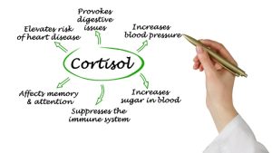 Low Cortisol Symptoms You Need to Know - Health News Day